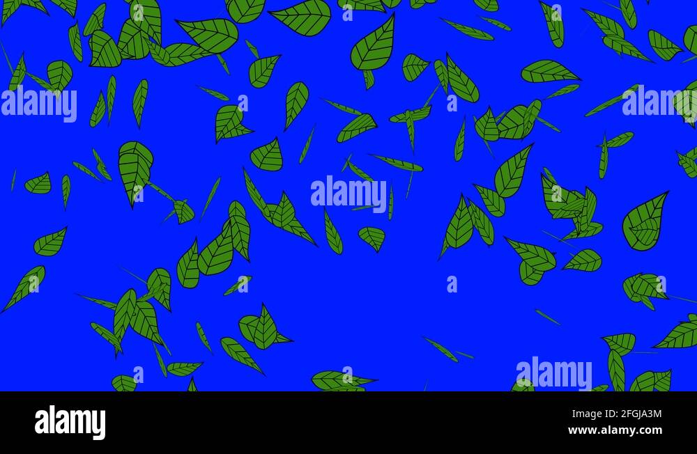 leaf falling cartoon background blue screen Stock Video Footage - Alamy