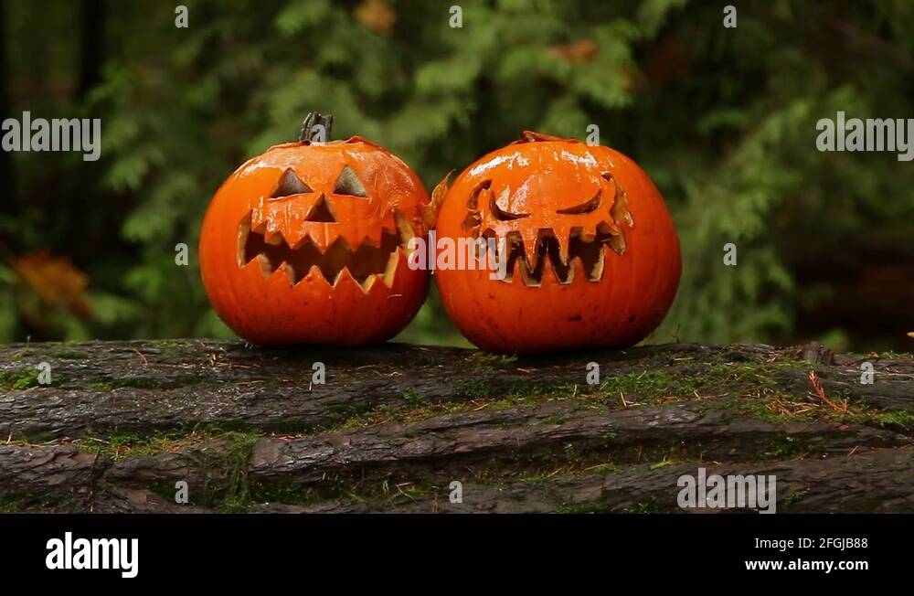 Scary squash Stock Videos & Footage - HD and 4K Video Clips - Alamy