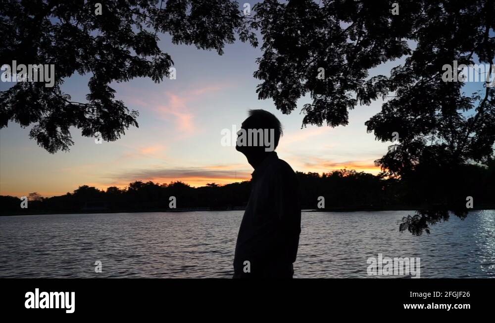 Silhouette man tree Stock Videos & Footage - HD and 4K Video Clips - Alamy