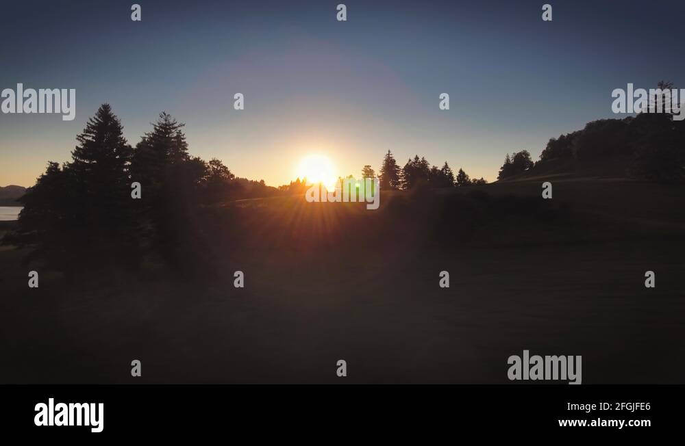 Golden field scenery Stock Videos & Footage - HD and 4K Video Clips - Alamy
