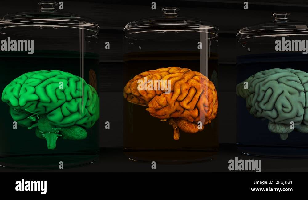 4K Human Brains in Science Laboratory Glasses Cinematic 3D Animation 1 ...