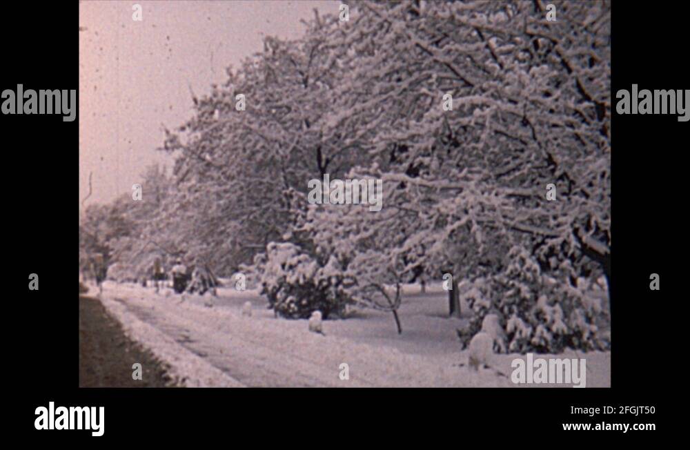 1975 movies Stock Videos & Footage - HD and 4K Video Clips - Alamy