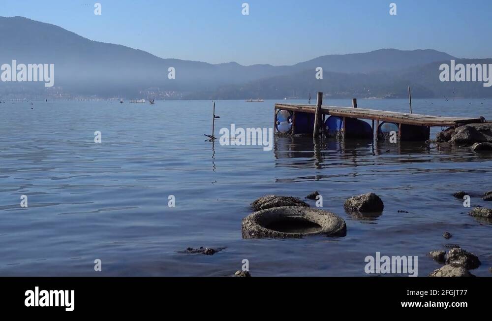 Misty bay Stock Videos & Footage - HD and 4K Video Clips - Alamy
