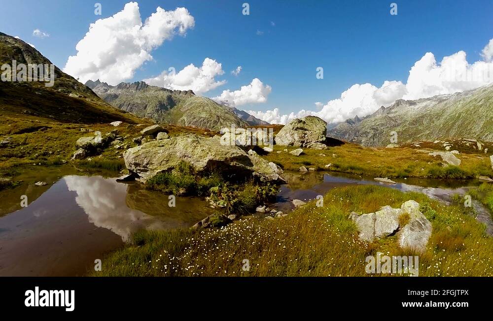 Clean ecosystem nature scenic Stock Videos & Footage - HD and 4K Video ...