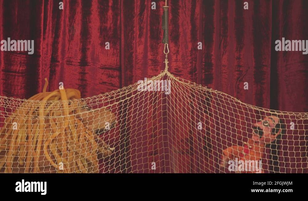 Lion tamer circus Stock Videos & Footage - HD and 4K Video Clips - Alamy