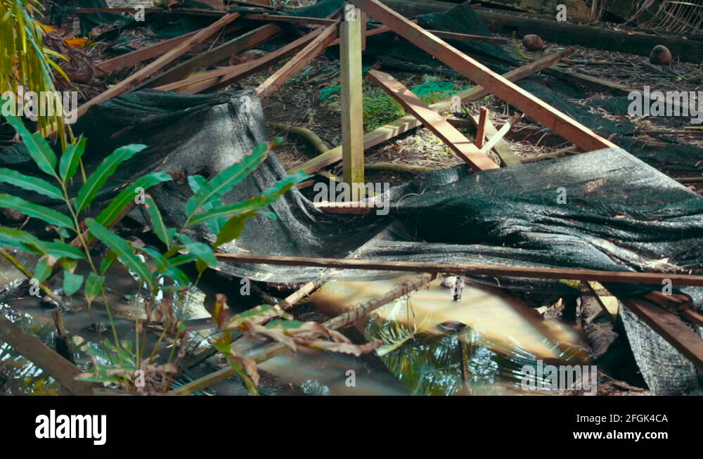 Asia garbage Stock Videos & Footage - HD and 4K Video Clips - Alamy