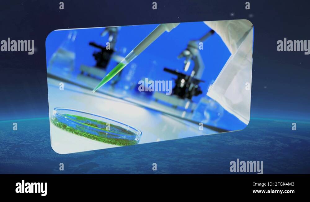 Digital images display Stock Videos & Footage - HD and 4K Video Clips ...