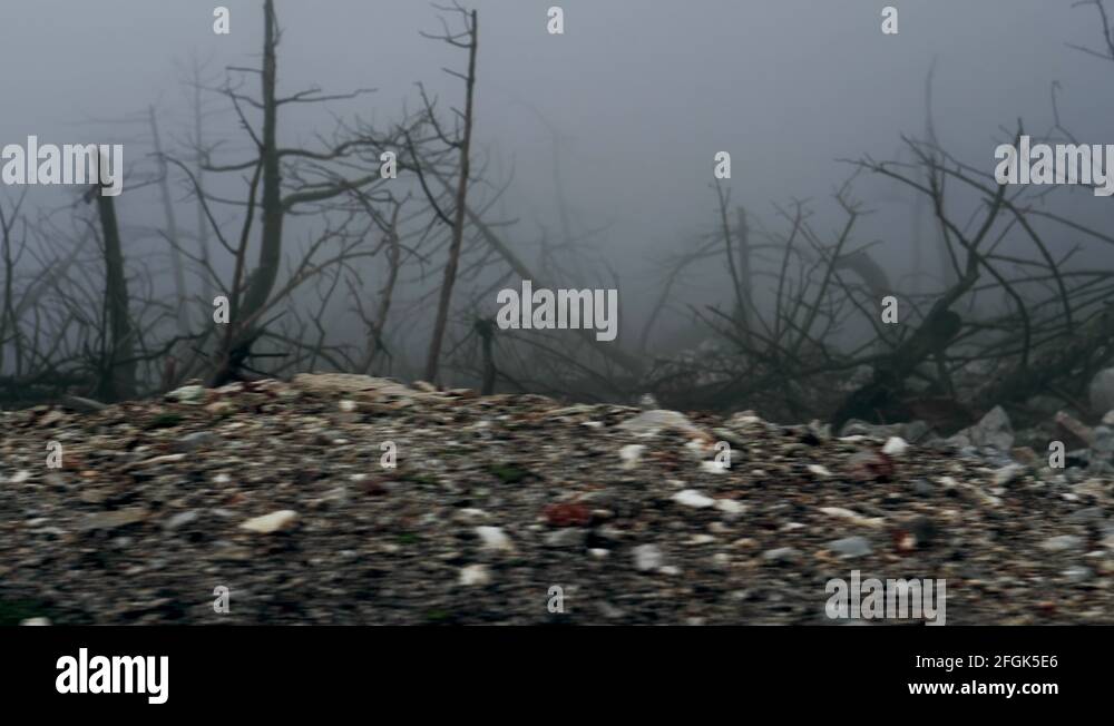 Warzone landscape Stock Videos & Footage - HD and 4K Video Clips - Alamy