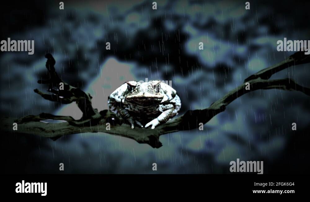 Thunderstorm rain Stock Videos & Footage - HD and 4K Video Clips - Alamy