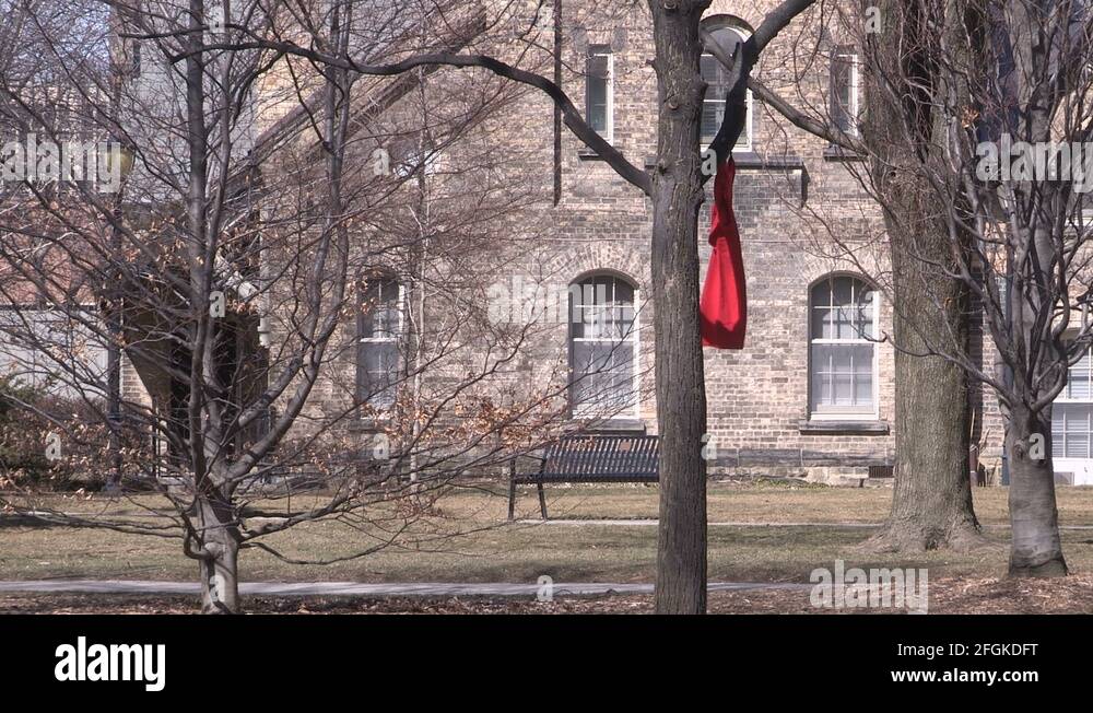 Red dresses hang from trees in memory of missing and murdered ...