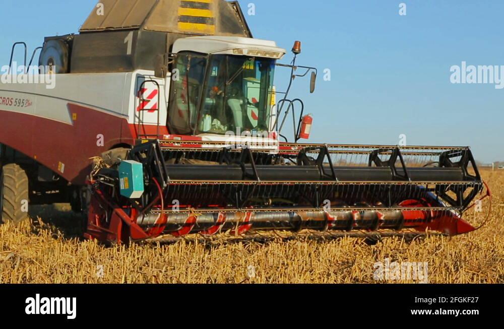 Harvesting millet Stock Videos & Footage - HD and 4K Video Clips - Alamy