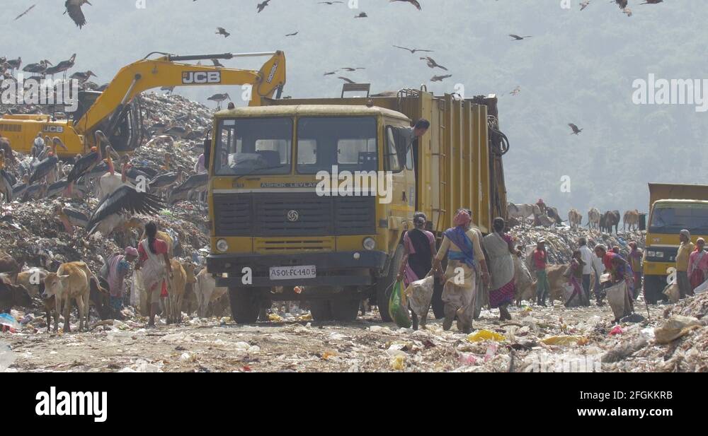 Grabage Stock Videos & Footage - HD and 4K Video Clips - Alamy