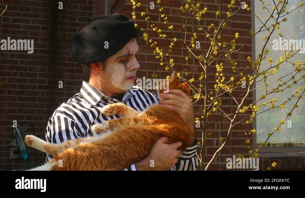 Pantomime cat Stock Videos & Footage - HD and 4K Video Clips - Alamy