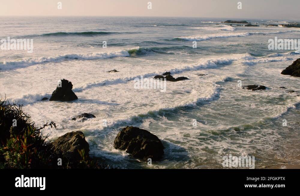 Trail point reyes Stock Videos & Footage - HD and 4K Video Clips - Alamy