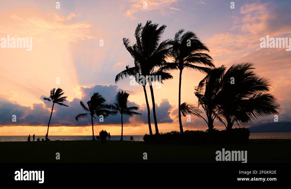 Enjoy beautiful sunset Stock Videos & Footage - HD and 4K Video Clips ...