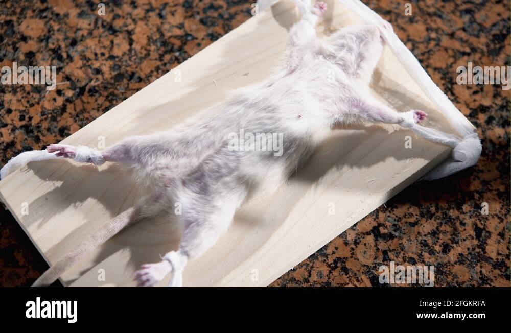 Ready for operation Stock Videos & Footage - HD and 4K Video Clips - Alamy