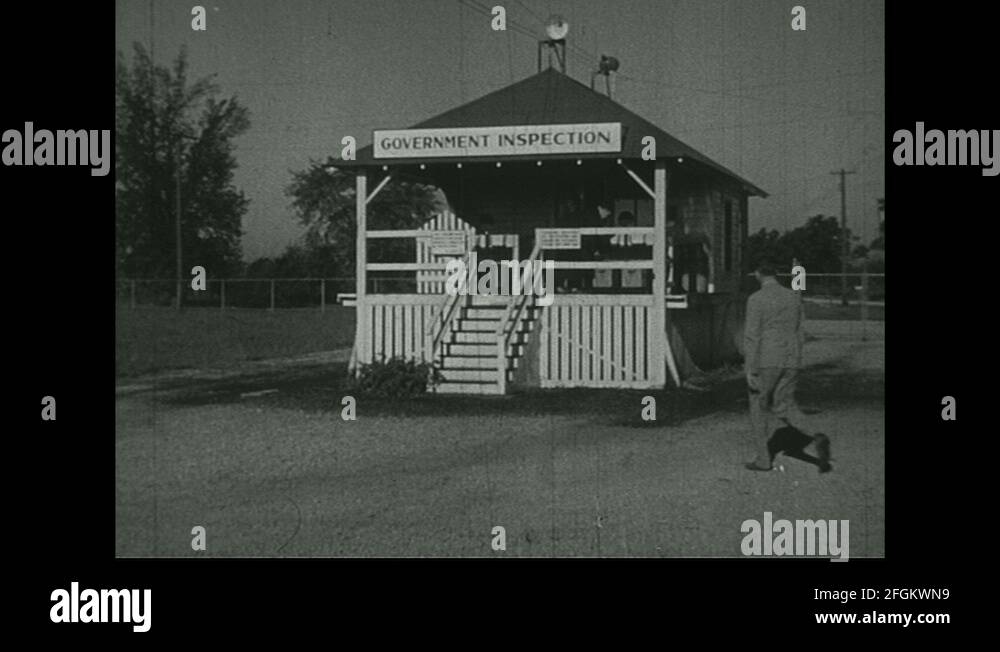 Government inspection Stock Videos & Footage - HD and 4K Video Clips ...