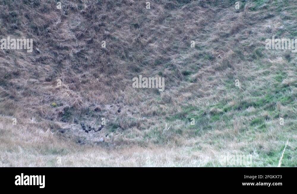 Soil in ridges Stock Videos & Footage - HD and 4K Video Clips - Alamy