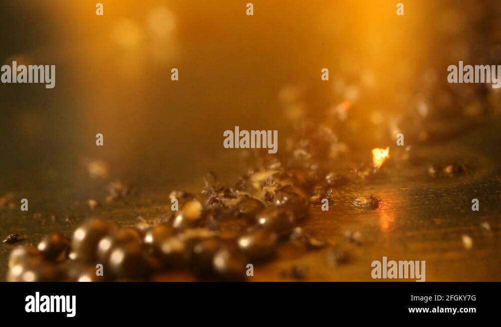 Use gunpowder Stock Videos & Footage - HD and 4K Video Clips - Alamy