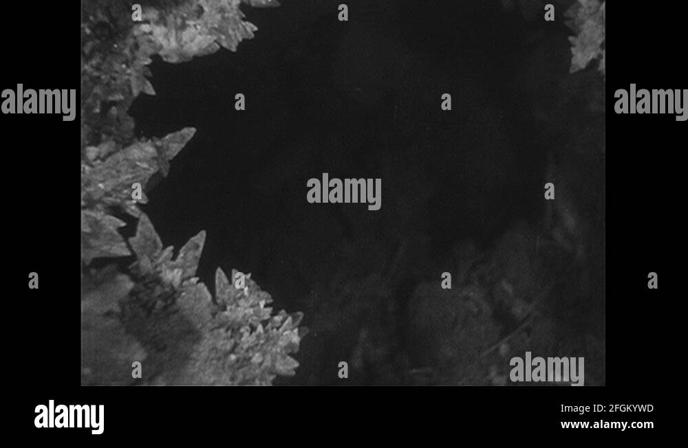 1951 : At the floor of the White Grotto in Italy lies a clear body of ...