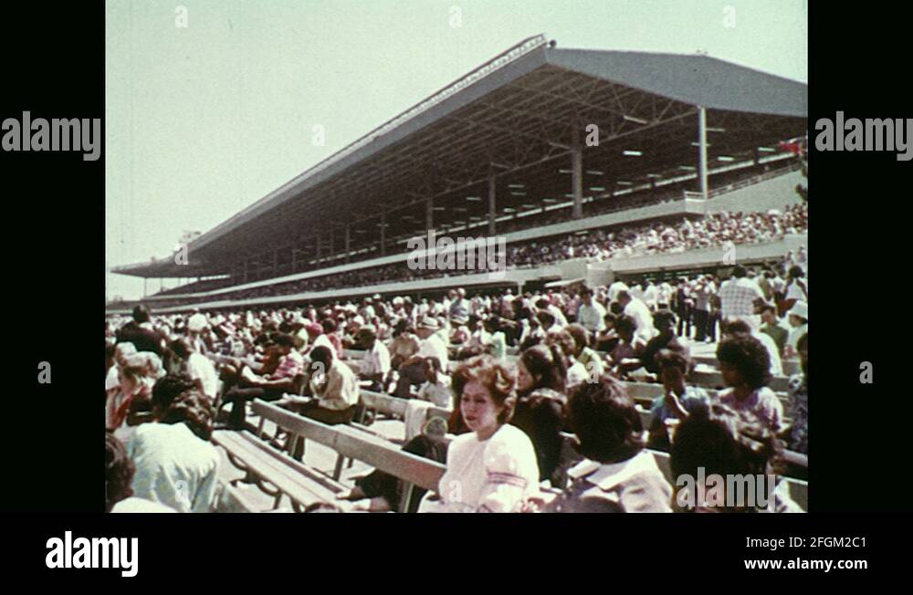 Potential victim of Stock Videos & Footage - HD and 4K Video Clips - Alamy