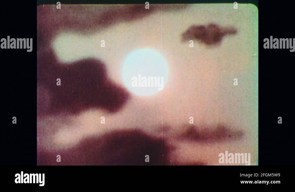 1960s: Baby animals talking Stock Video Footage - Alamy