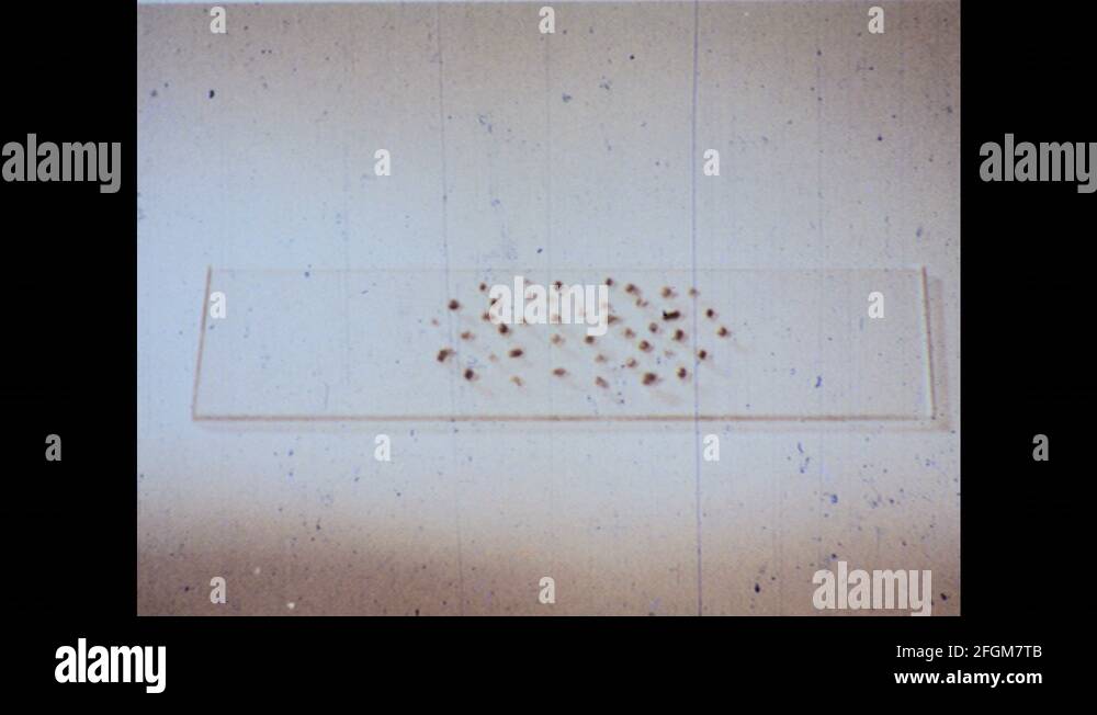 Radioactive fallout Stock Videos & Footage - HD and 4K Video Clips - Alamy