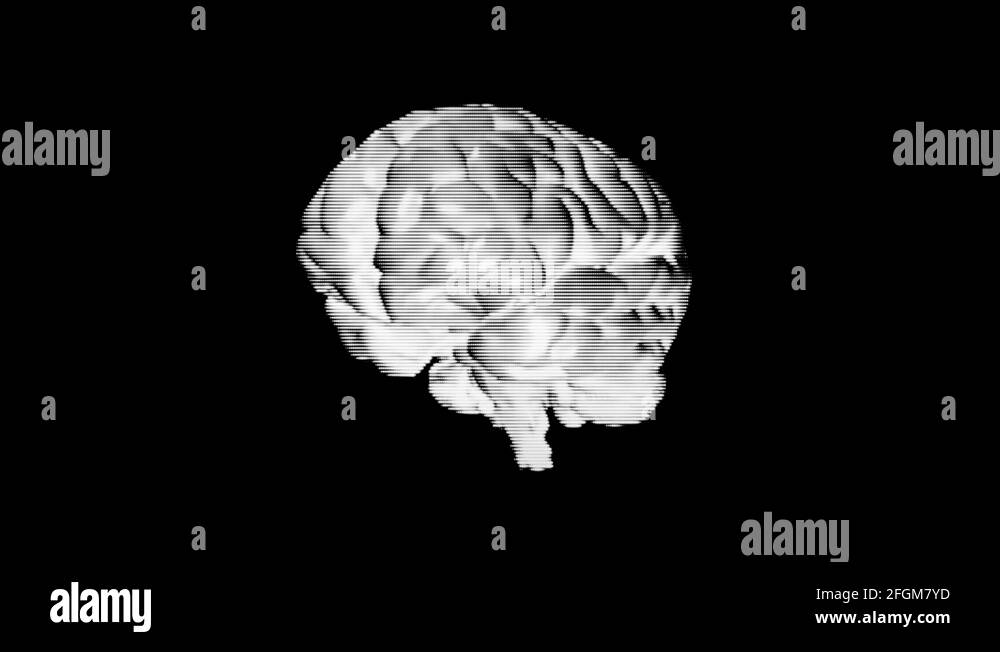 Electronic 3D display Brain - led particle form Stock Video Footage - Alamy