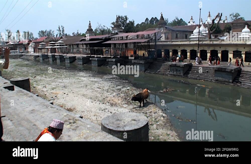 Bury the dead Stock Videos & Footage - HD and 4K Video Clips - Alamy