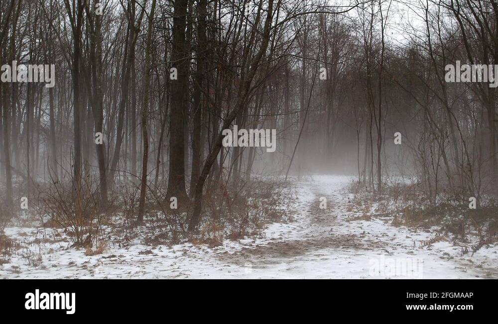 Mist rolling Stock Videos & Footage - HD and 4K Video Clips - Alamy