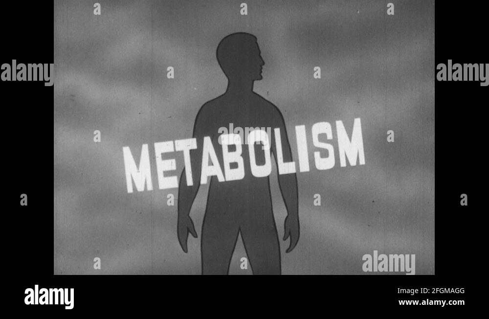 Metabolism illustration Stock Videos & Footage - HD and 4K Video Clips ...