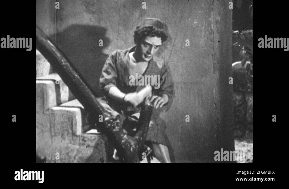 Men in trees show Stock Videos & Footage - HD and 4K Video Clips - Alamy