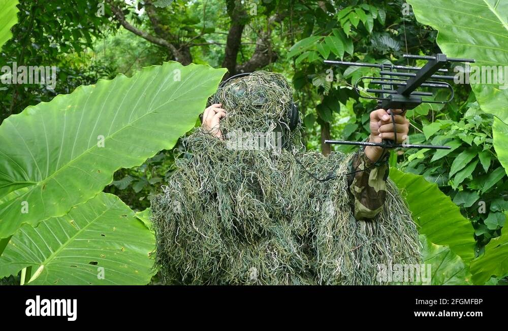 Radio telemetry study Stock Videos & Footage - HD and 4K Video Clips ...