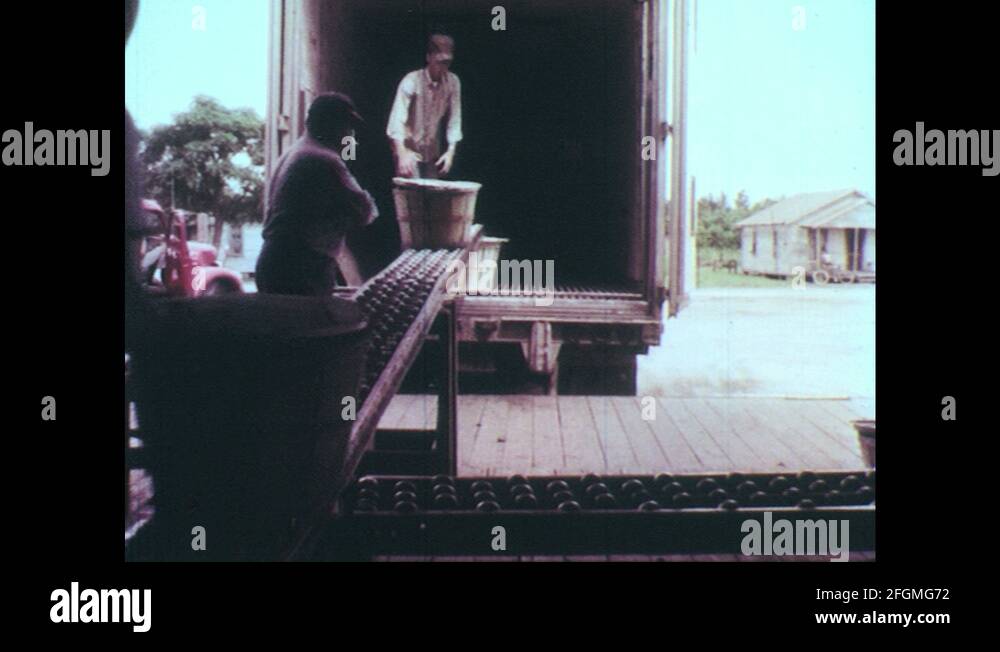 Cucumber pickle process Stock Videos & Footage - HD and 4K Video Clips ...