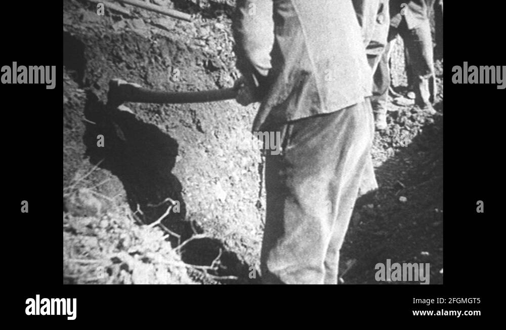 GERMANY: 1920s: men dig holes in soil. Man uses pick axe on soil ...