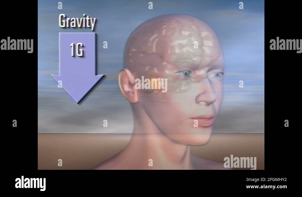 Gravity model Stock Videos & Footage - HD and 4K Video Clips - Alamy