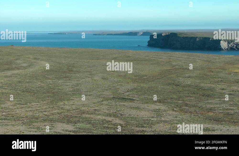 Novaya Stock Videos & Footage - HD and 4K Video Clips - Alamy