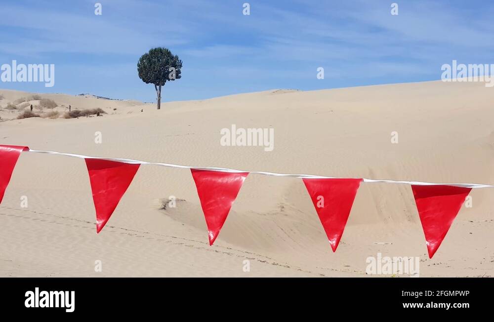 Flag with cedar tree Stock Videos & Footage - HD and 4K Video Clips - Alamy