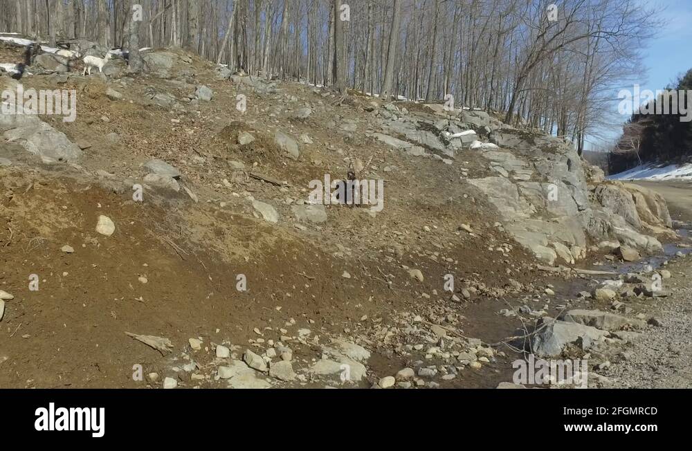 Sloped hill Stock Videos & Footage - HD and 4K Video Clips - Alamy