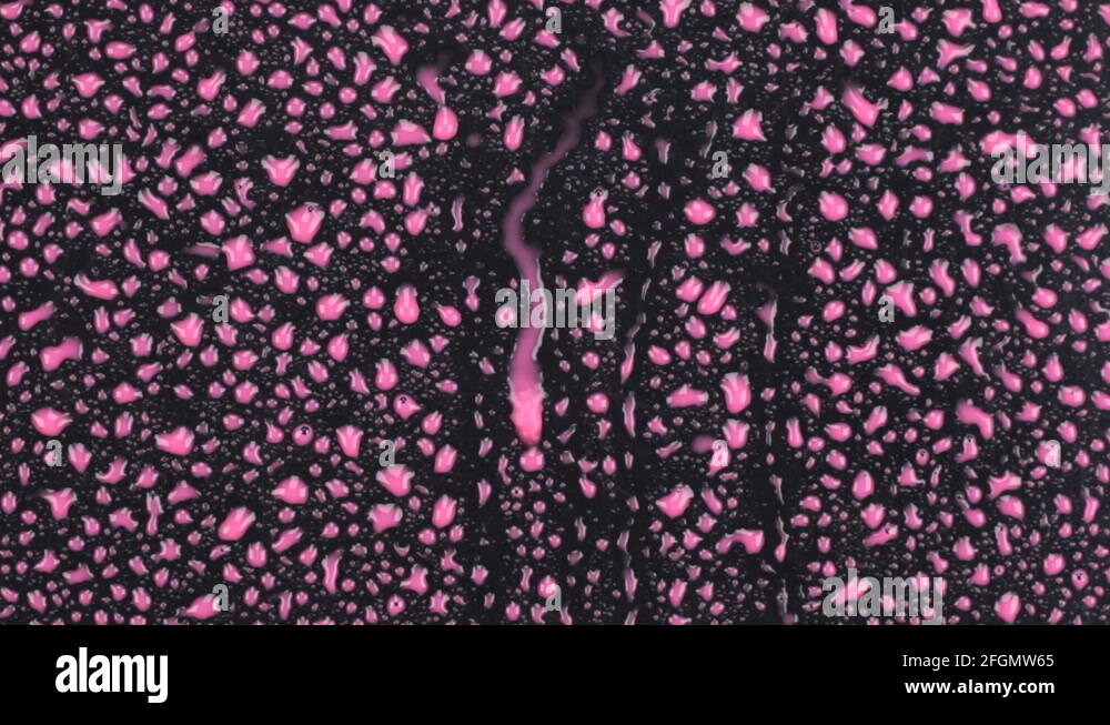 Dew formation Stock Videos & Footage - HD and 4K Video Clips - Alamy