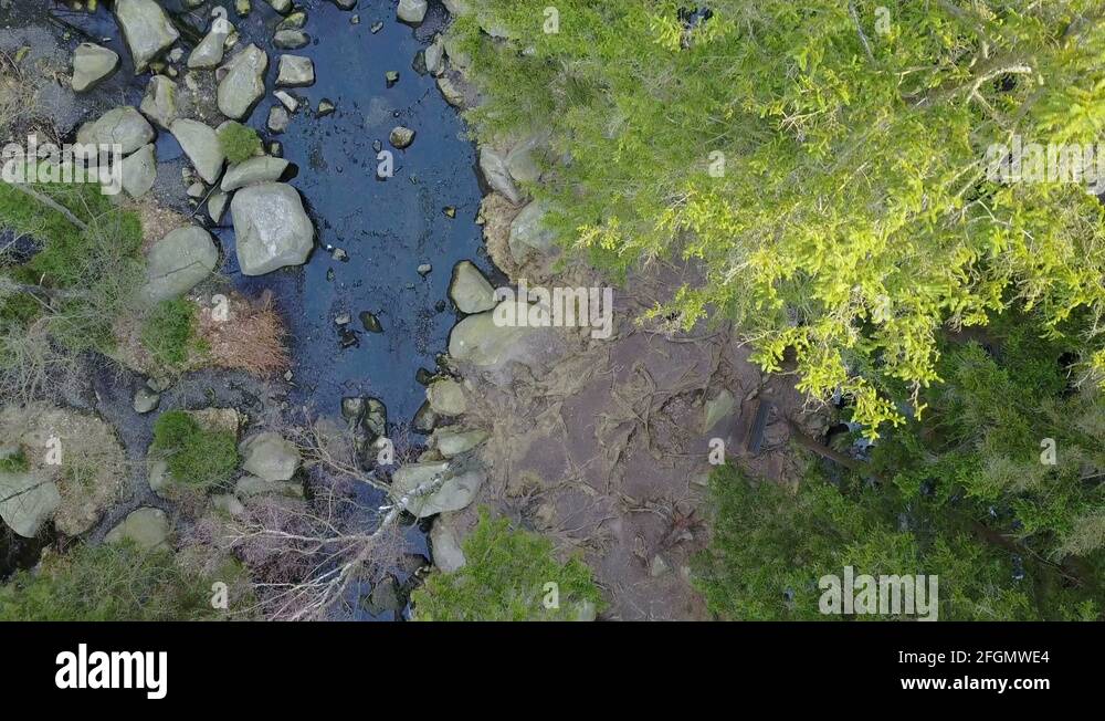 Trees and stream vertical Stock Videos & Footage - HD and 4K Video ...