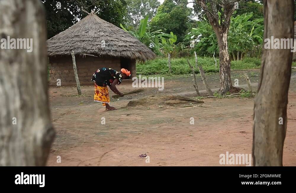 Africa broom Stock Videos & Footage - HD and 4K Video Clips - Alamy