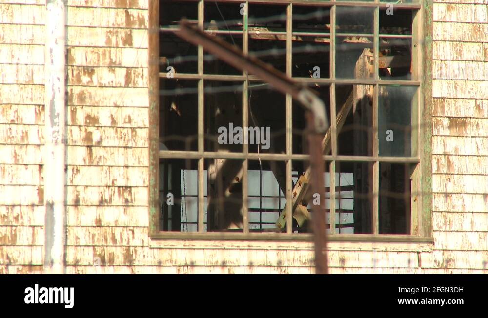 Hangar wwii Stock Videos & Footage - HD and 4K Video Clips - Alamy