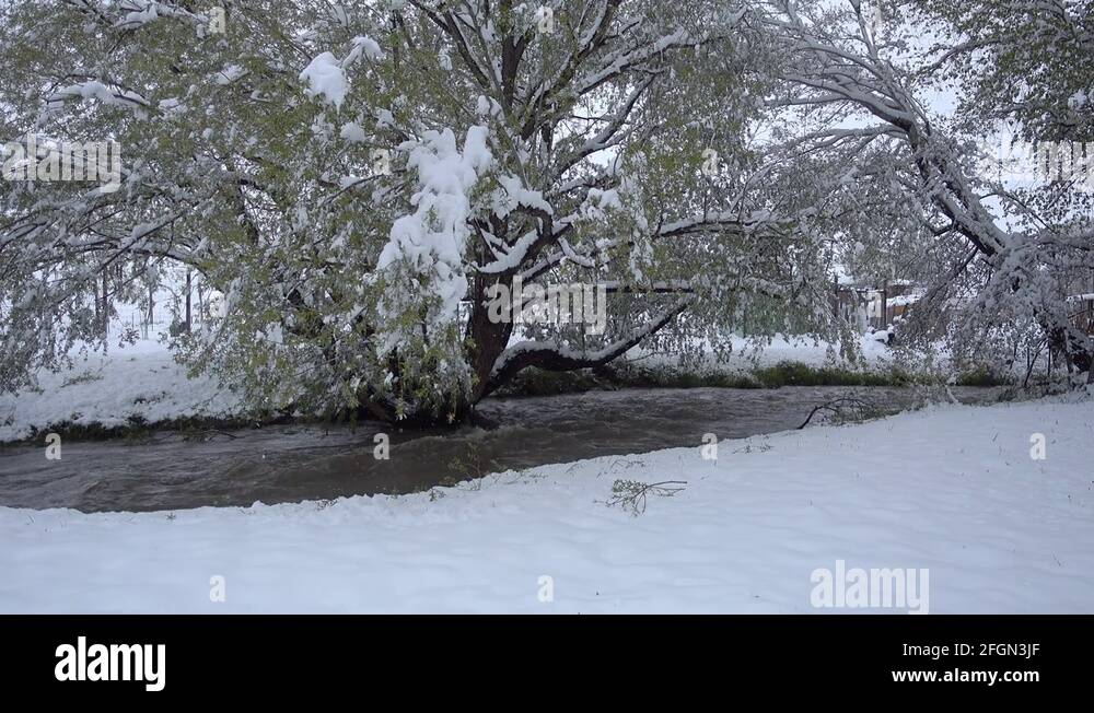 Brook background Stock Videos & Footage - HD and 4K Video Clips - Alamy