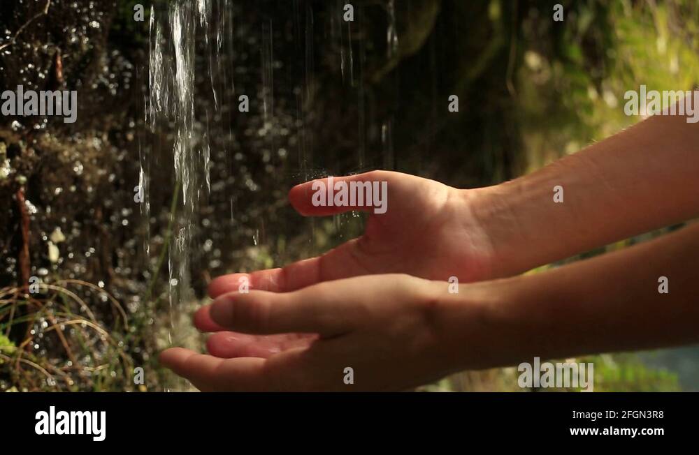 Close up on woman's hands cupped catching water from waterfall Stock ...