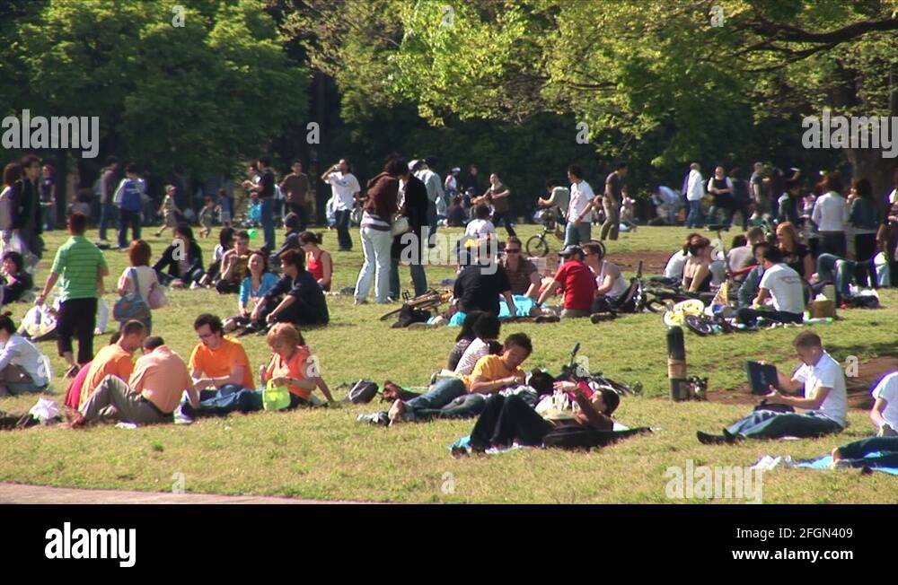 People chilling park Stock Videos & Footage - HD and 4K Video Clips - Alamy