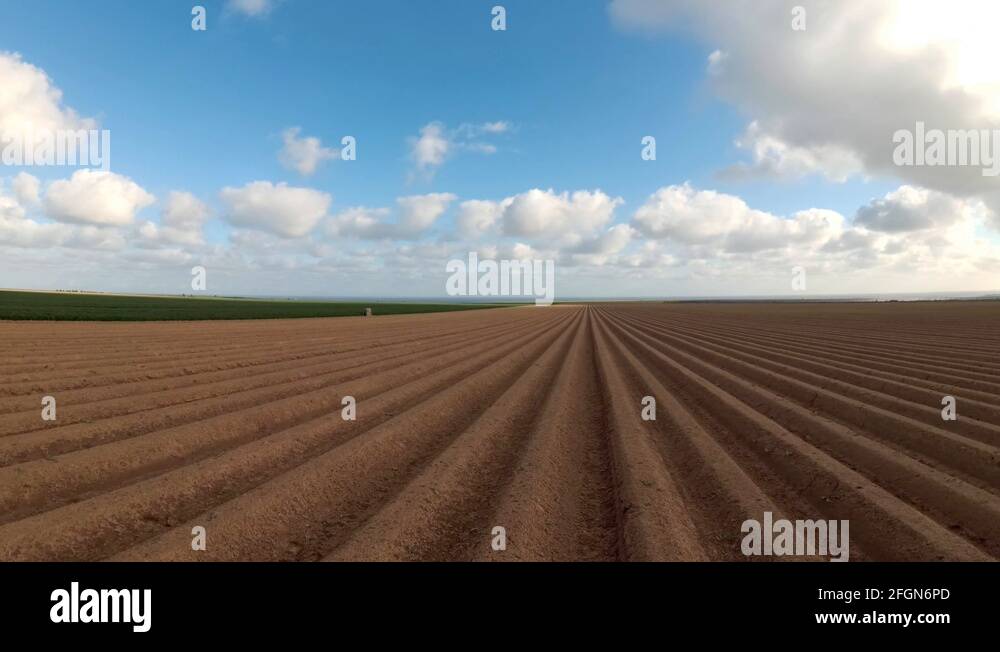 Crops in france Stock Videos & Footage - HD and 4K Video Clips - Alamy