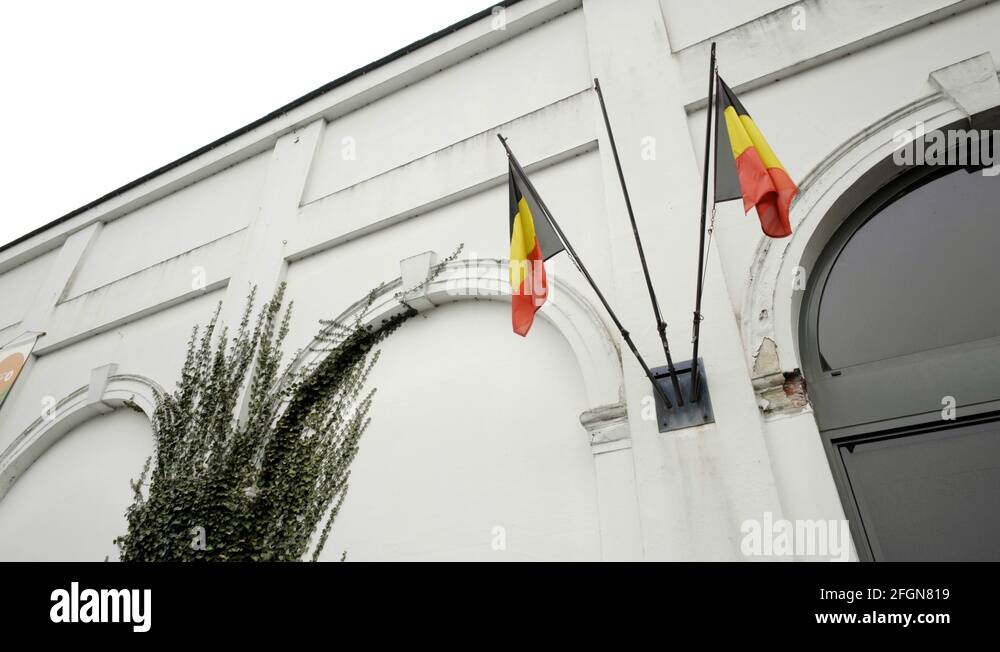Belgian flags Stock Videos & Footage - HD and 4K Video Clips - Alamy
