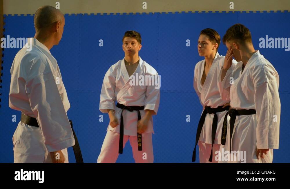 Karate sensei dojo Stock Videos & Footage - HD and 4K Video Clips - Alamy