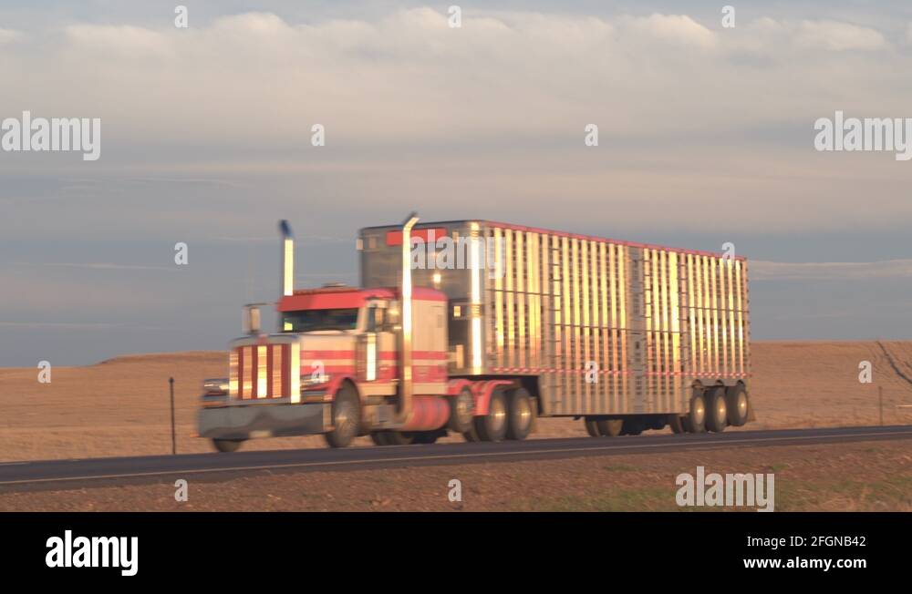 Transporting cattle container Stock Videos & Footage - HD and 4K Video ...